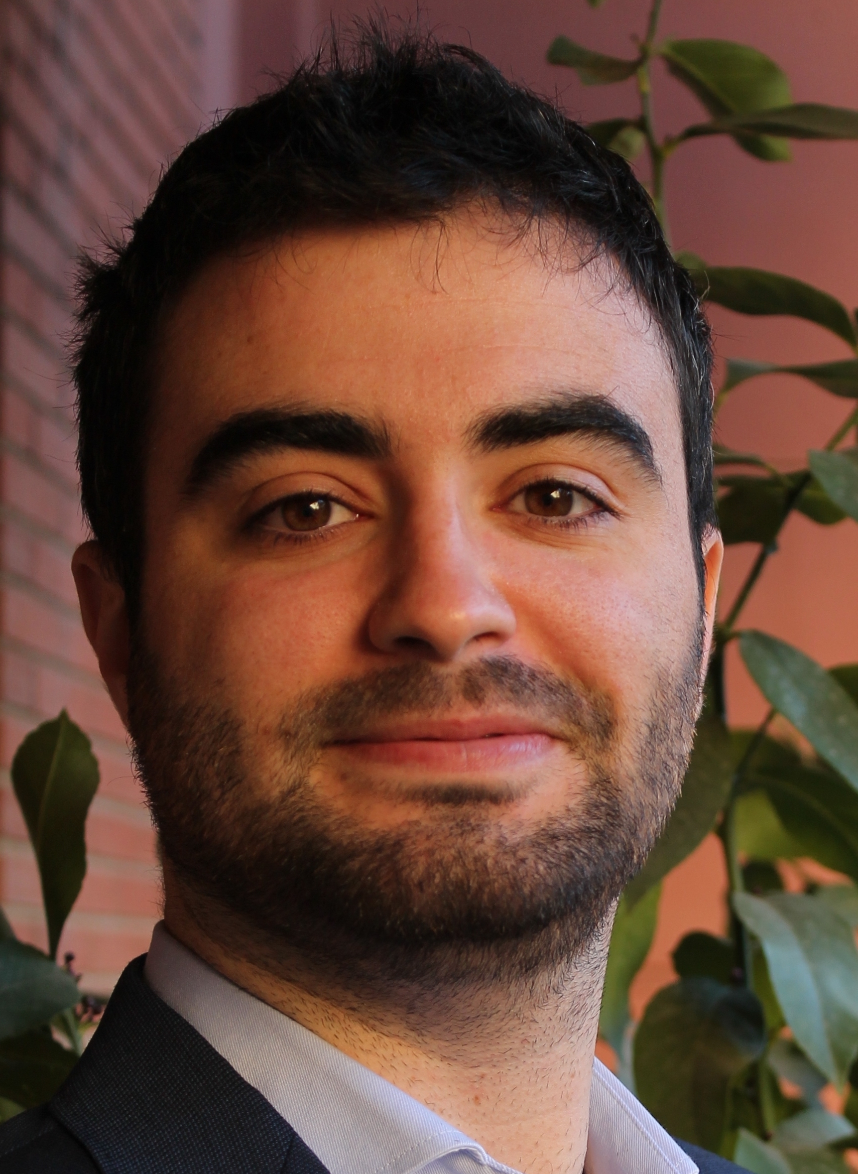 Albert Navarro-Galllinad